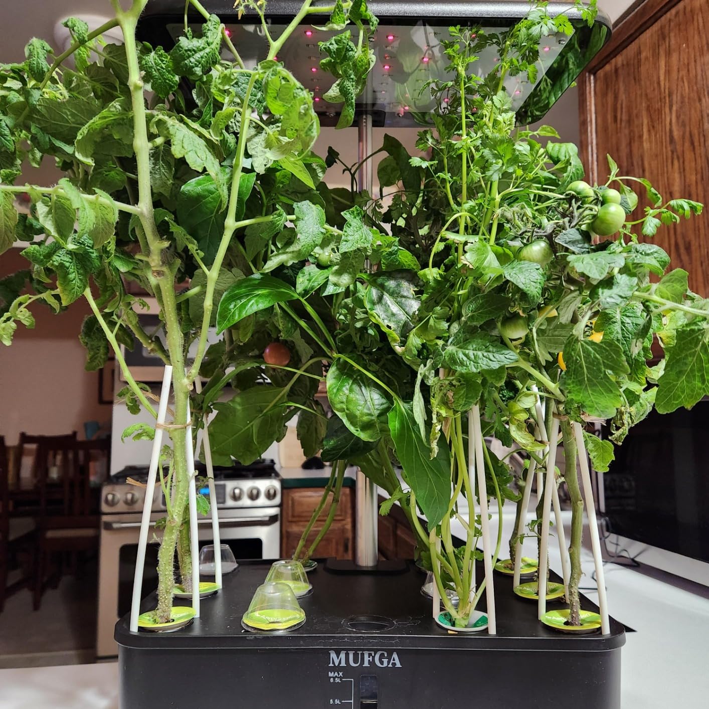 $8/mo - Finance Herb Garden Hydroponics Growing System - MUFGA 12 Pods Indoor Gardening System ...