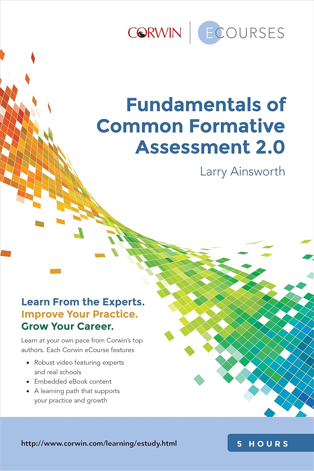 Buy Fundamentals of Common Formative Assessments 2.0 Ecourse Slimpack ...
