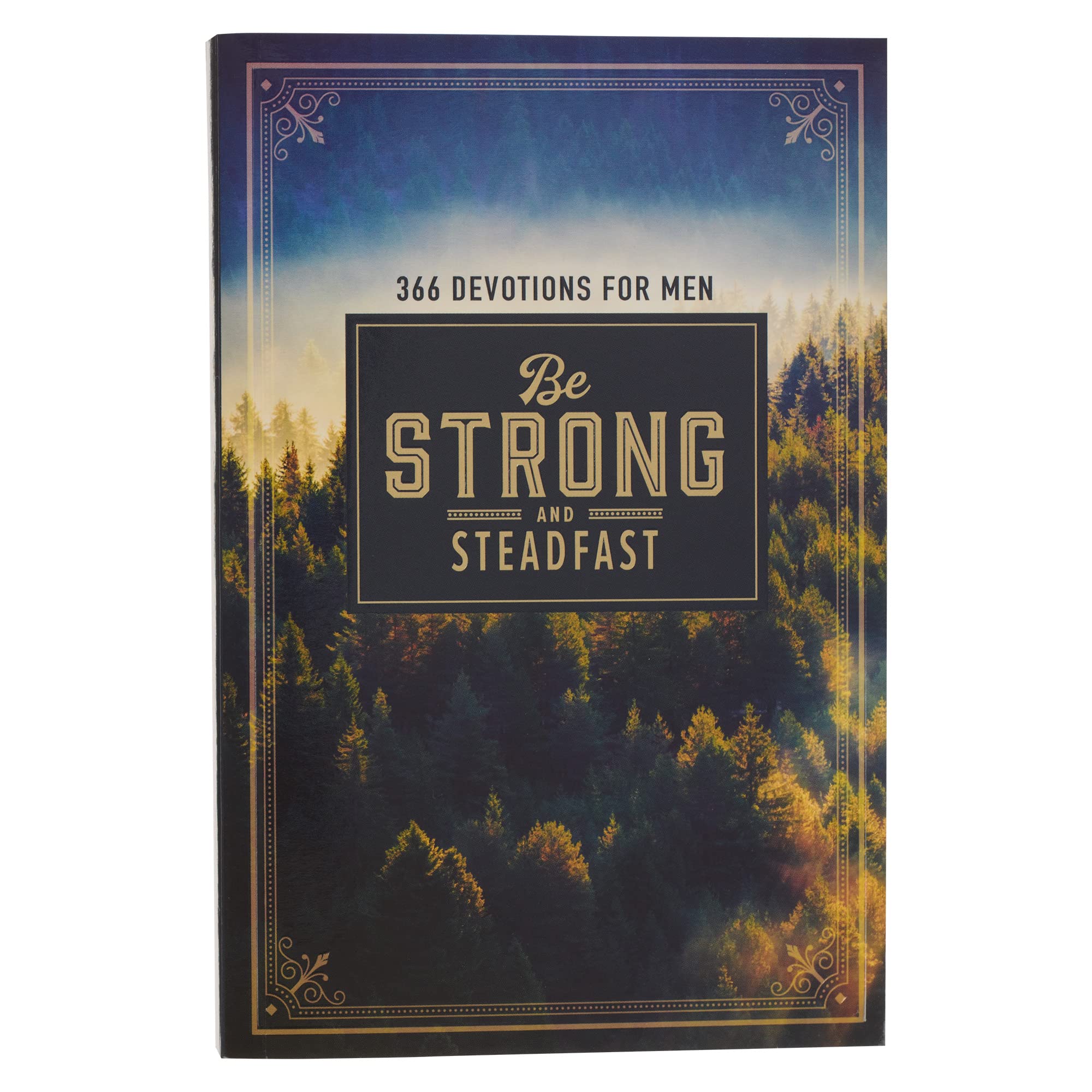Be Strong and Steadfast 366 Devotions for Men: Ronald A Beers ...