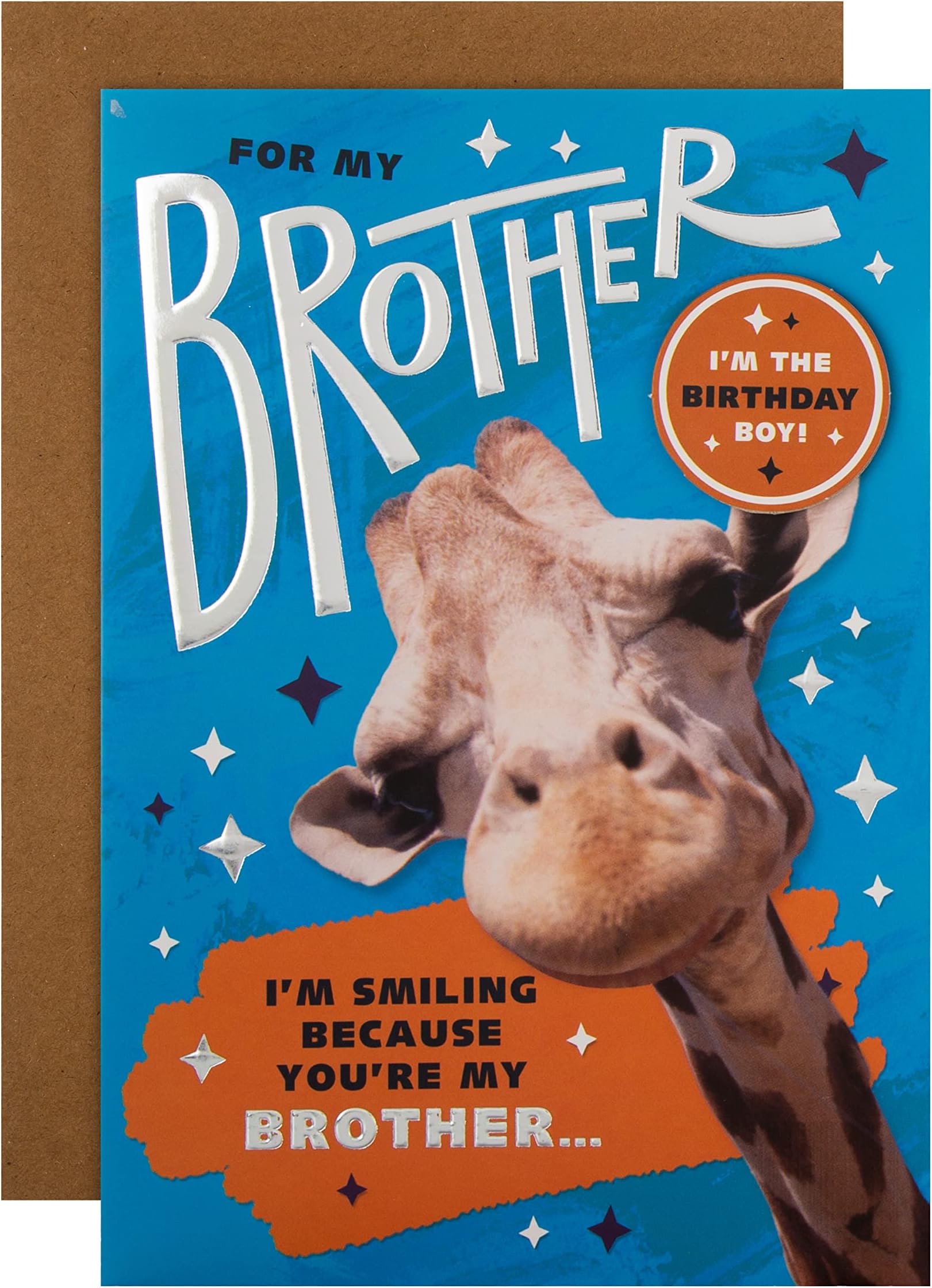 Brainbox Candy - Funny Brother Birthday Card Cheeky Humour Card ...