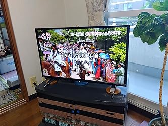 Amazon | REGZA 32インチ Airplay ネット動画対応 ハイビジョン V35Nシリーズ 液晶 32V35N 2024年モデル | テレビ 通販