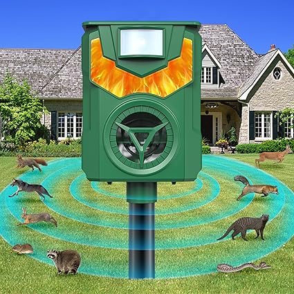 Amazon.com: Solar Ultrasonic Squirrel Repellent with Motion Detection ...