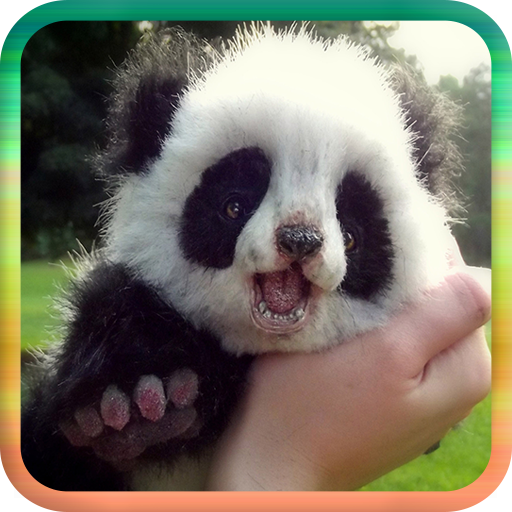 Wallpaper Of Baby Animals - App on Amazon Appstore