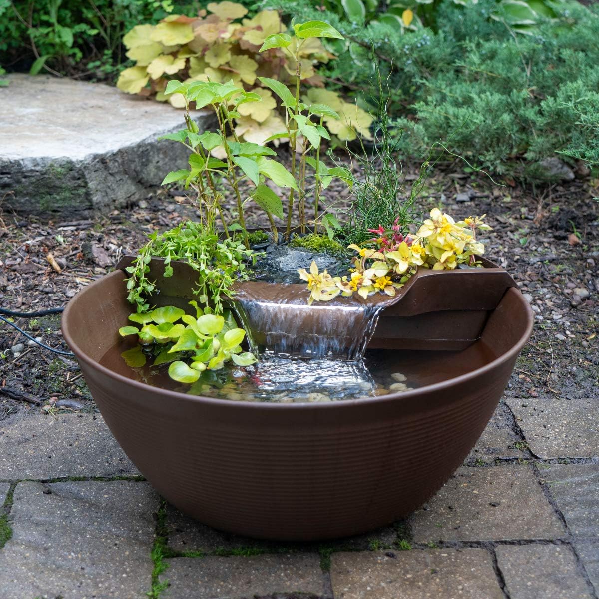 Amazon.com : PondH2o Medium II Pond Watercourse with 2 Pools ...