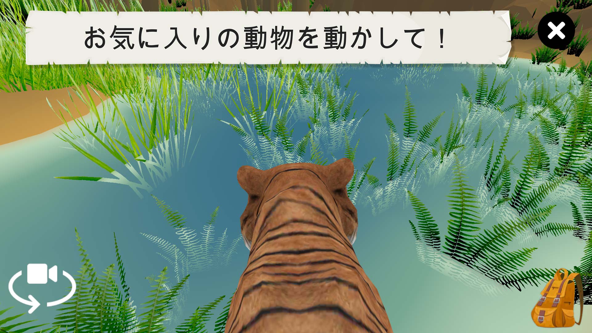 4D Kid Explorer: 野生動物－子供向け教育ゲ-Amazonアプリストアのアプリ