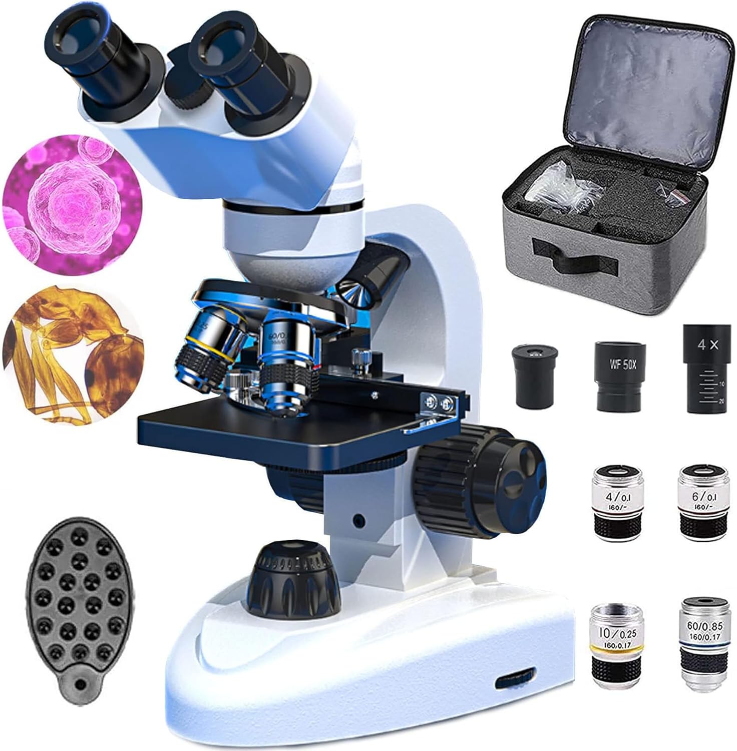 40x-10000x Binocular Compound Microscope, with Microscope Blade Set ...