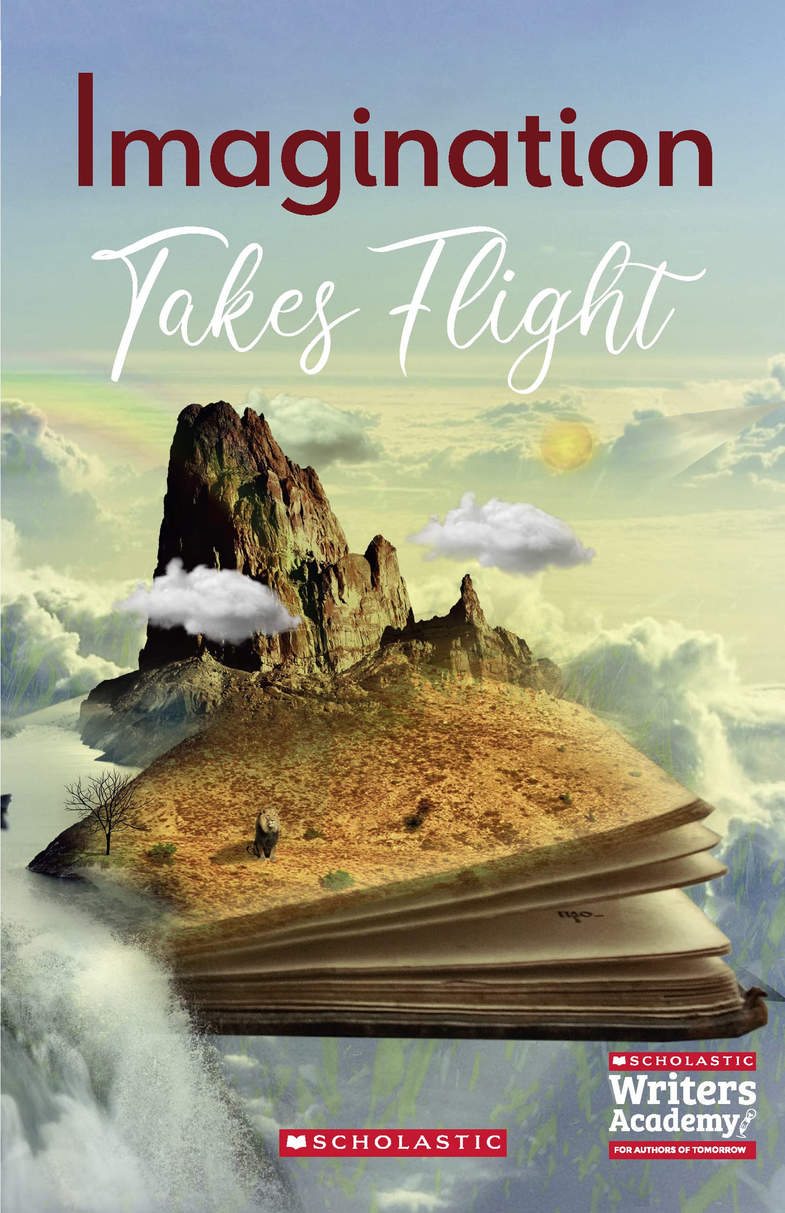Imagination Takes Flight : Various: Amazon.in: Books