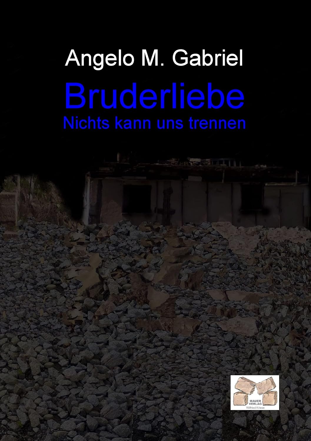 Bruderliebe: Nichts kann uns trennen : Gabriel, Angelo M.: Amazon.es: Libros