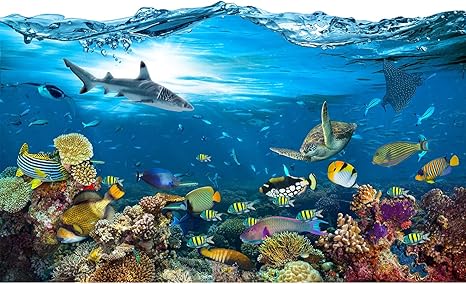 Amazon.com : Under The Sea Backdrop Tropical Marine Life Colorful Coral ...