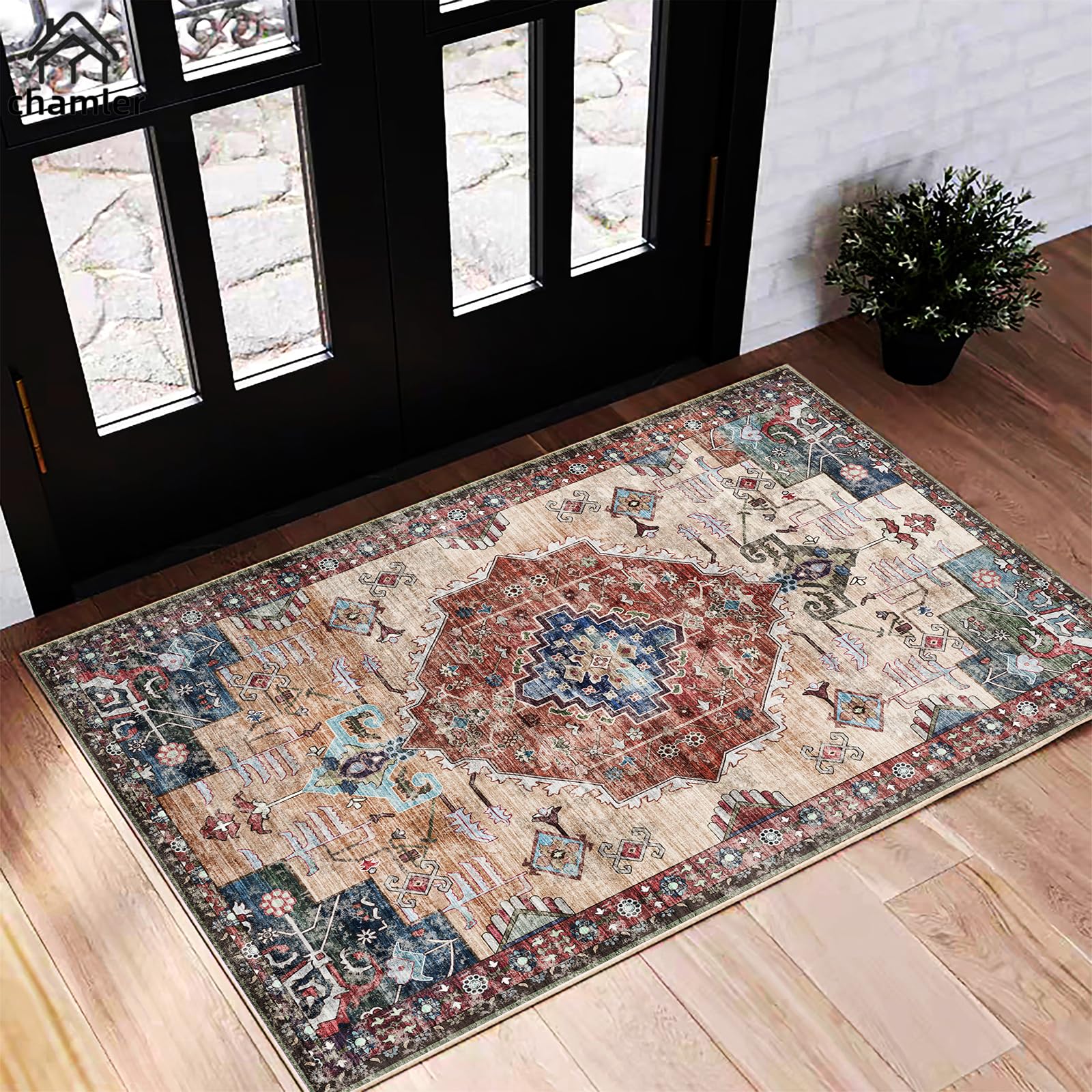 Amazon.com: chamler 2x3 Area Rug Washable Area Rug Door Mat Vintage Rug ...