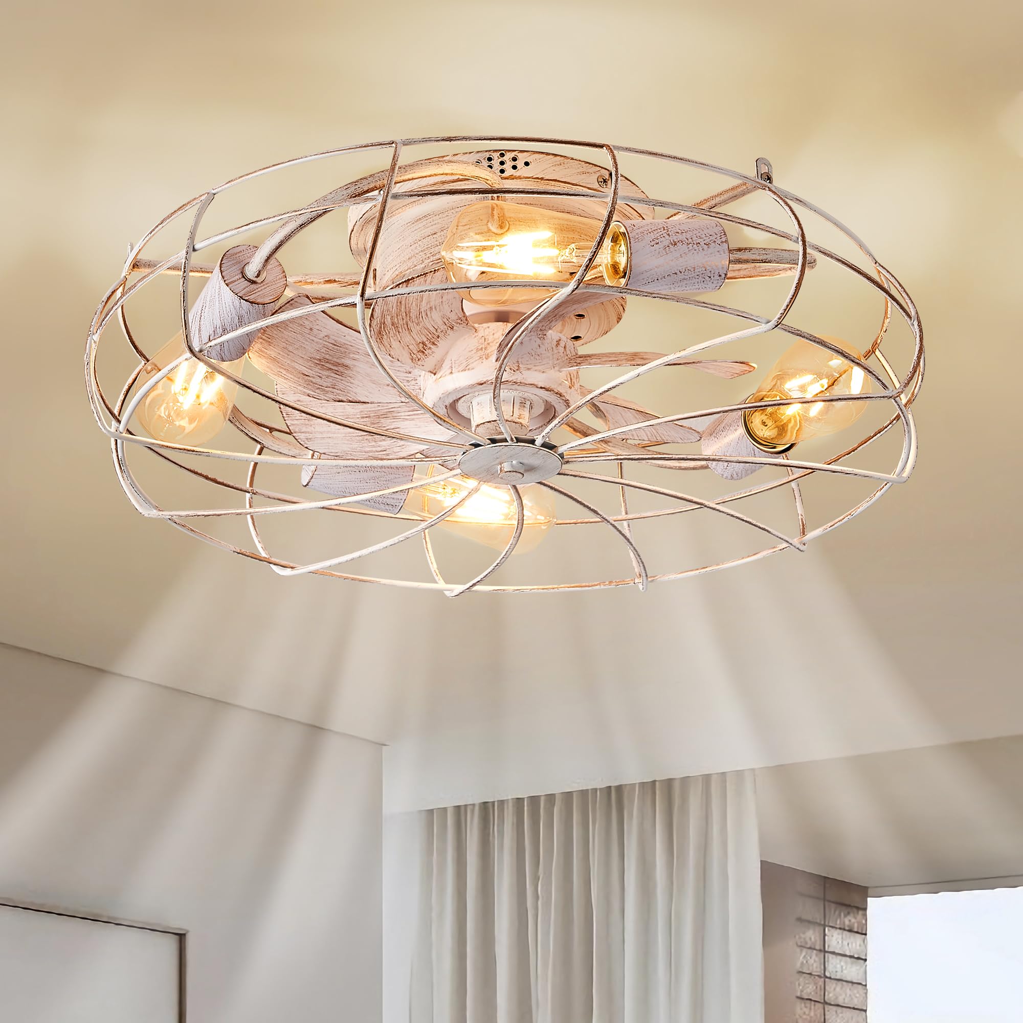 Amazon.com: LEDIARY 20" Caged Ceiling Fans with Lights, Flush Mount Low ...