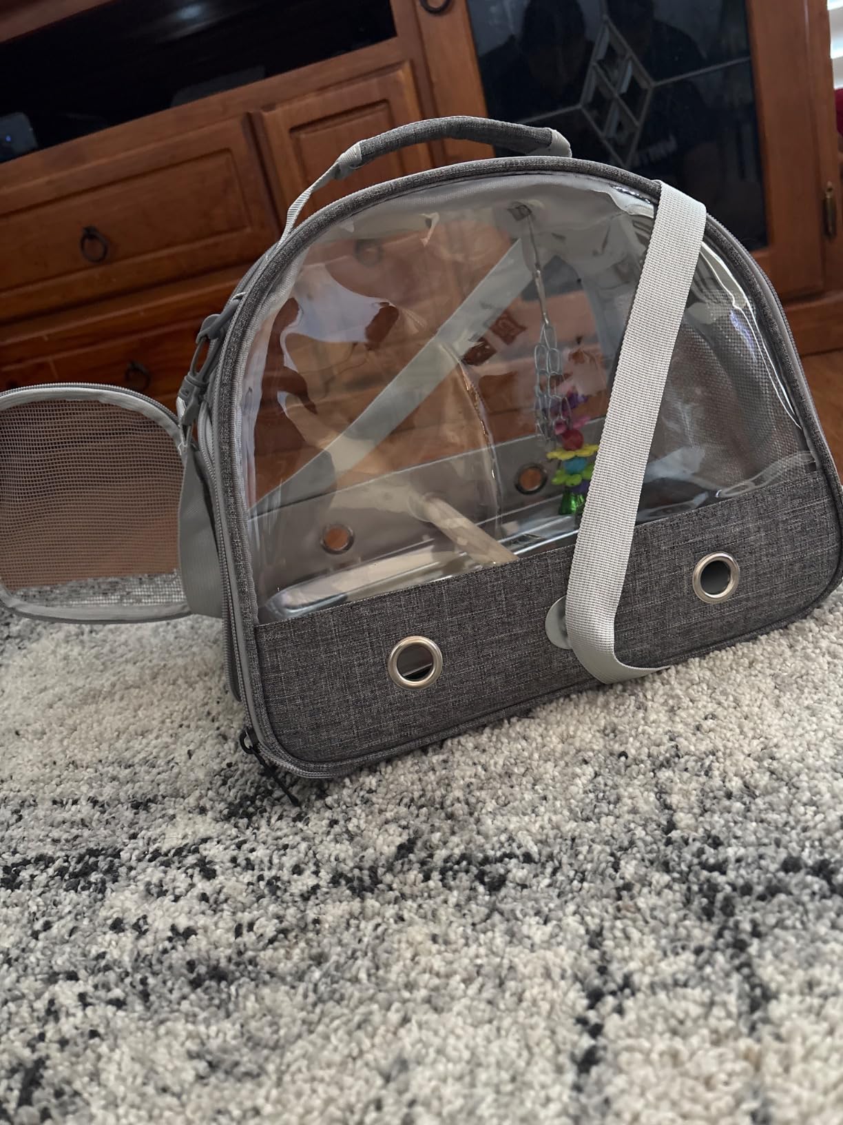 Bird Travel Carrier with Stand Perch and Stainless Tray,Portable Small ...