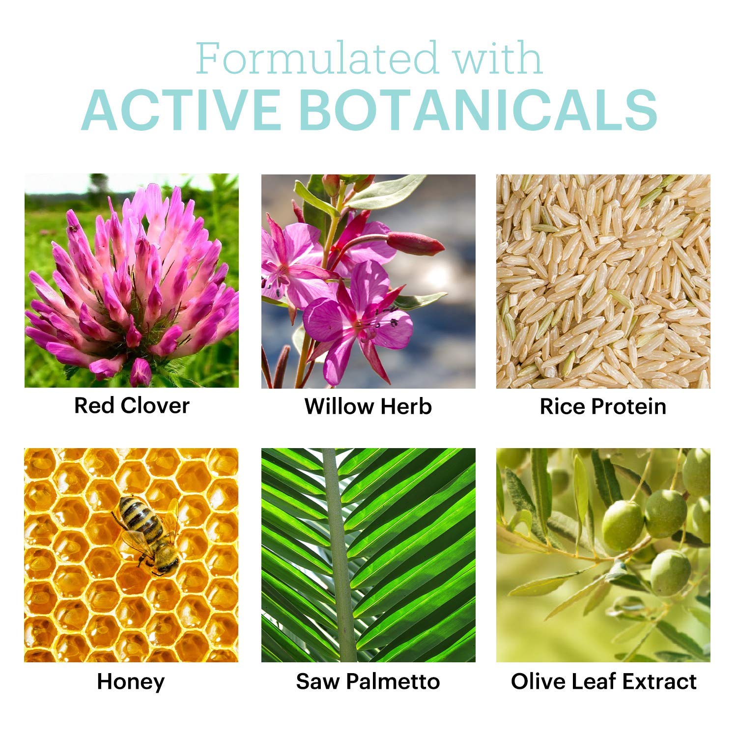 REVIV3 PROCARE Reviv 3 Procare Prep Cleanser Shampoo Clinically Tested ...