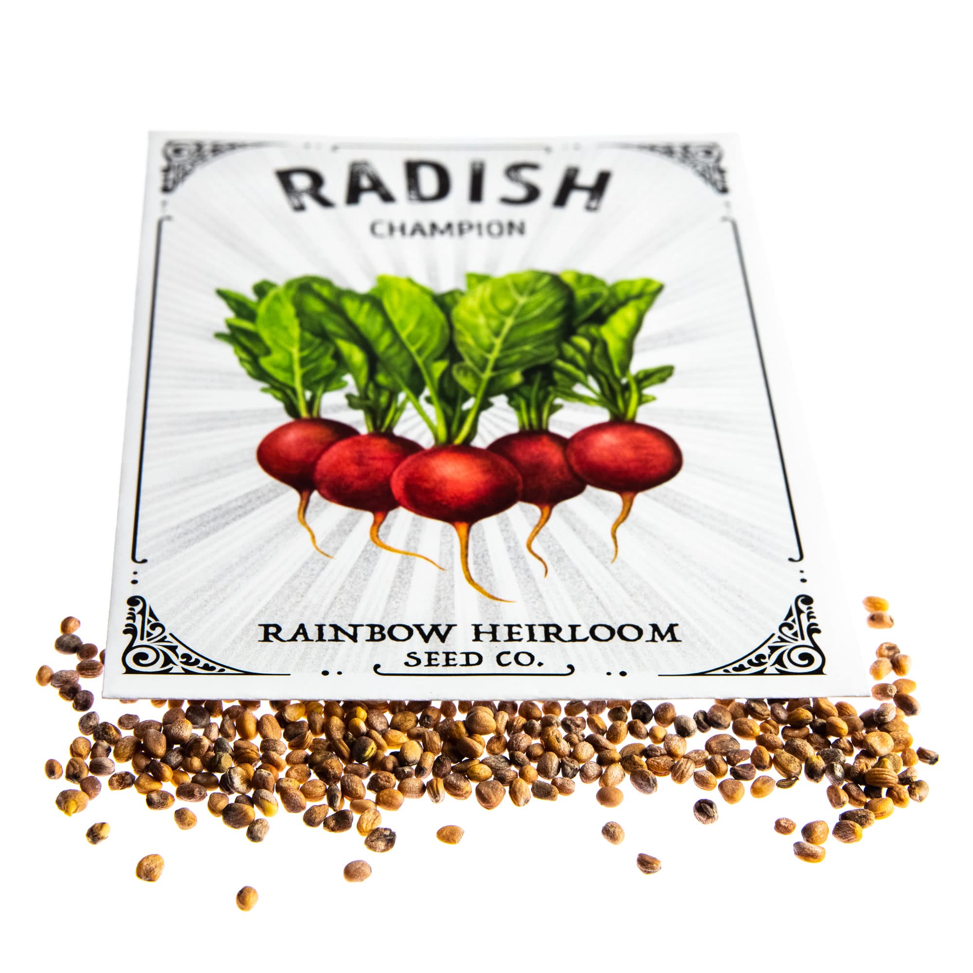 Radish Seed Graphics Radish Seeds Hi Res Stock Photography And Images