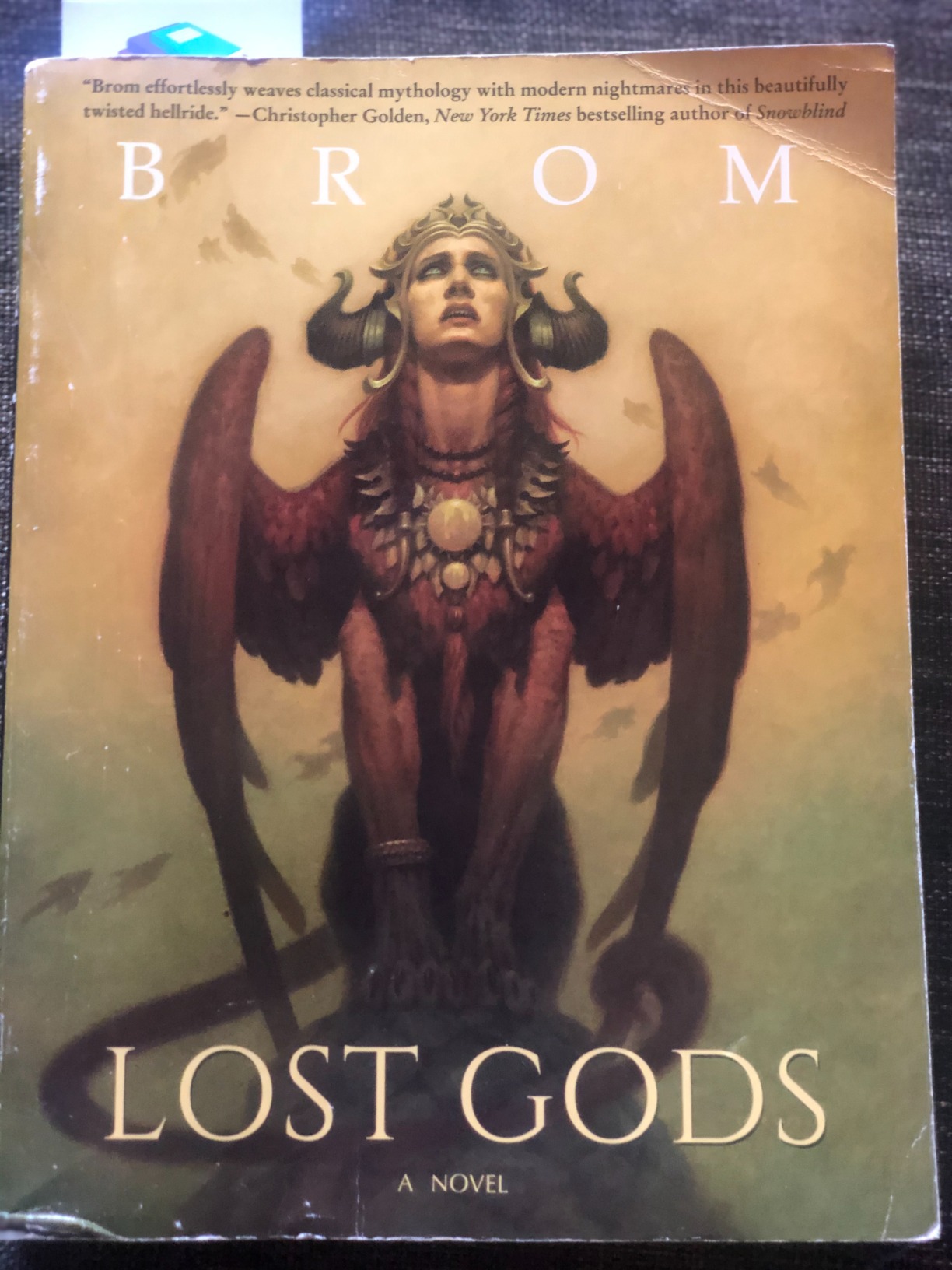 Lost Gods: A Novel : Brom: Amazon.in: Books