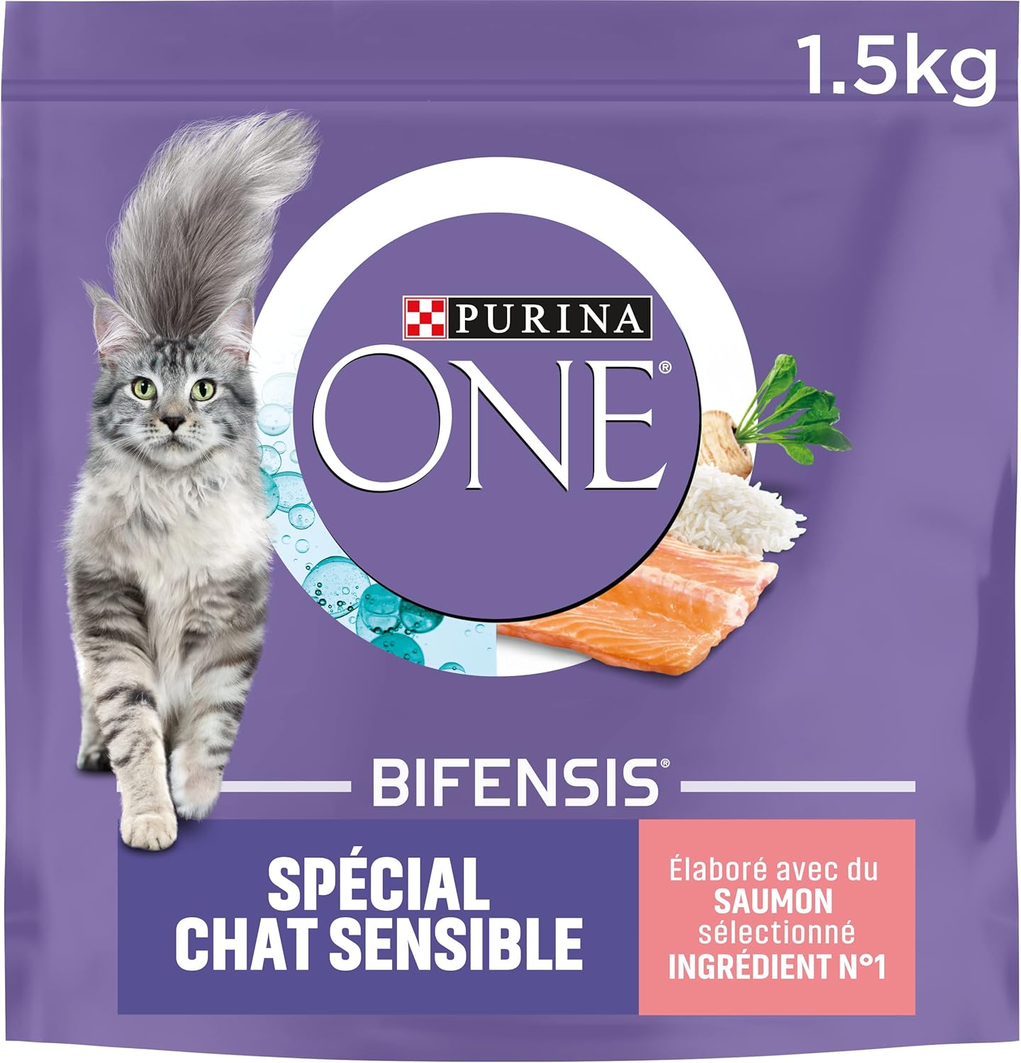 Purina One Pet's Choice Dry Food for Cats, 1.5 kg - Pack of 6 (9 kg ...