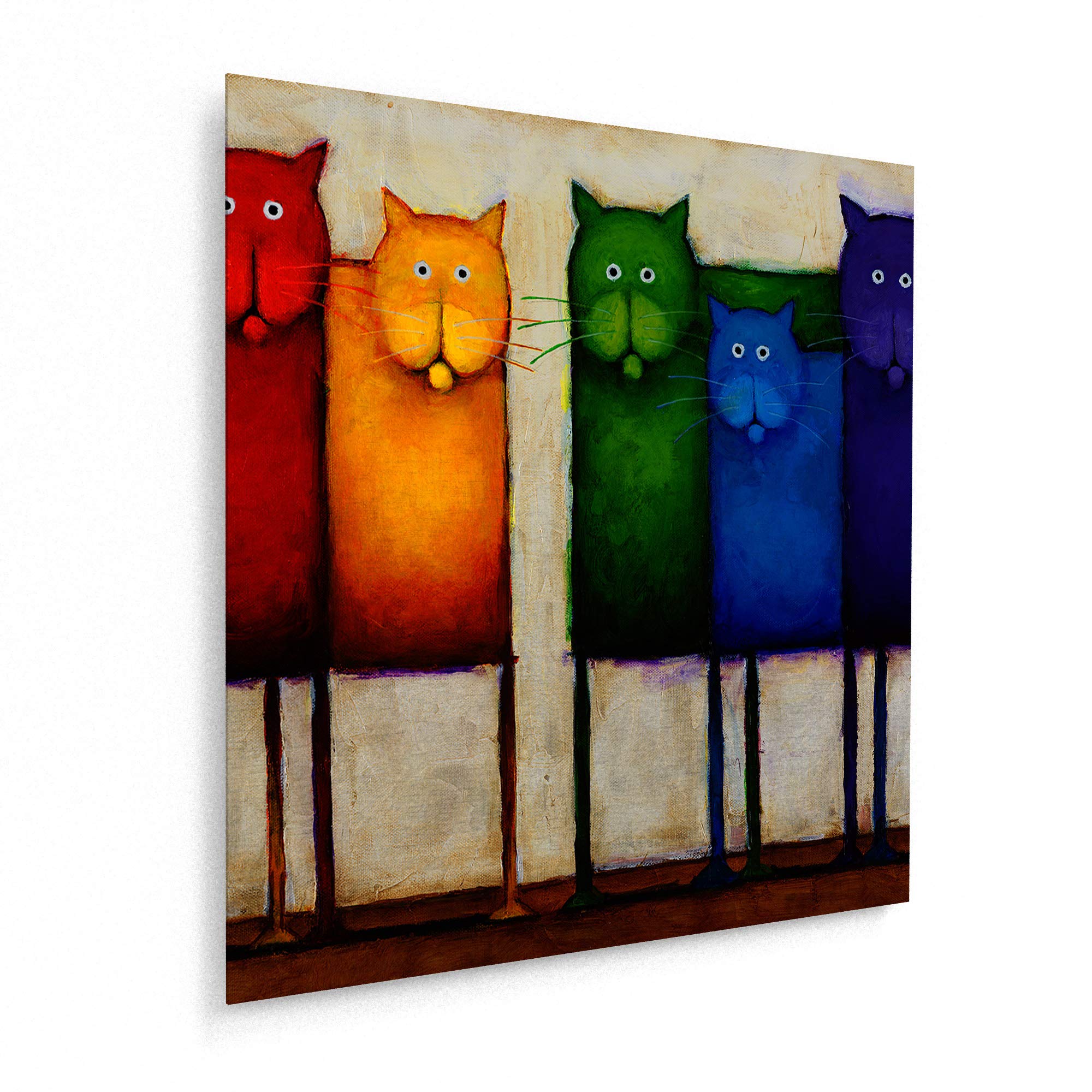 Trademark Fine Art 16x16 Rainbow Cats by Daniel Patrick Kessler, White ...