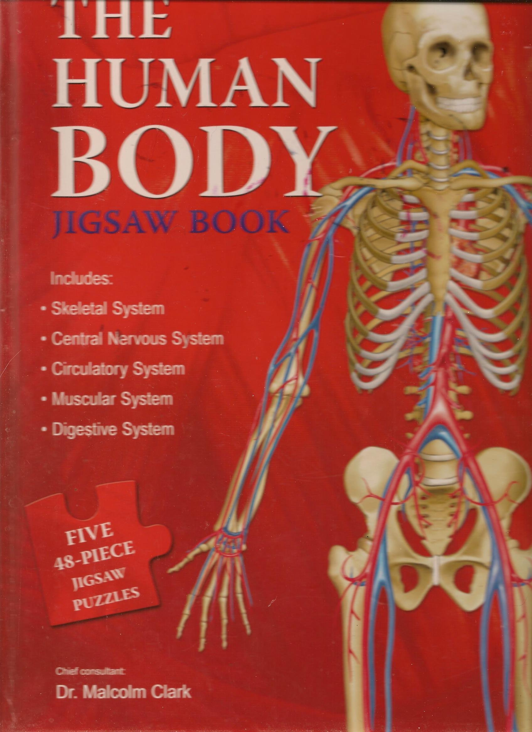 Human Body Jigsaw Book: Lorelei Vashti Waite: 9781741249897: Amazon.com ...