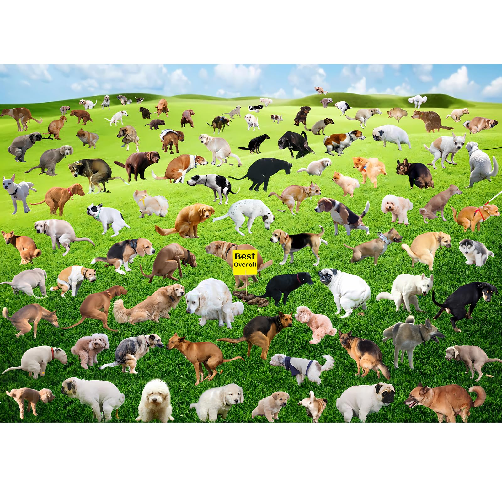 Amazon.com: 1000 Pieces Puzzles for Adults, Pooping Puppies Puzzle ...