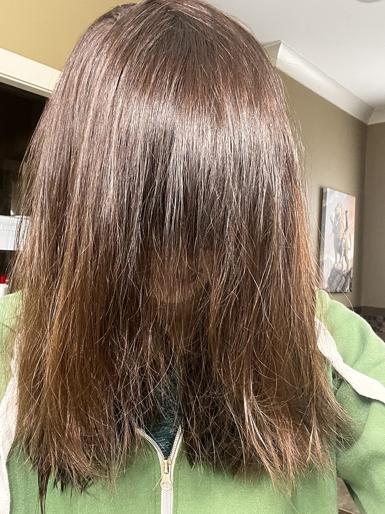 $2/mo - Finance L'Oreal Paris Superior Preference Fade-Defying + Shine ...