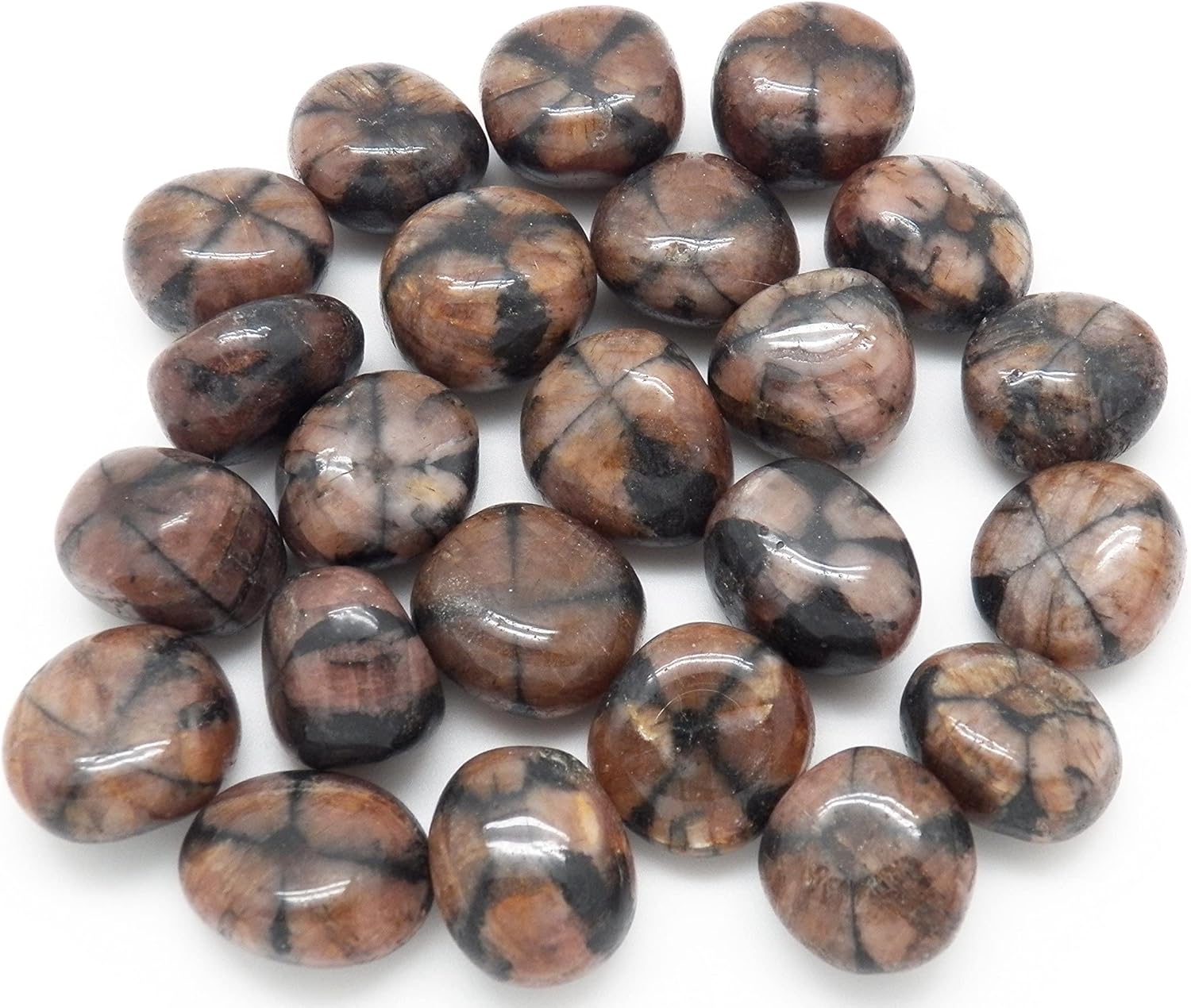 Amazon.com: Fundamental Rockhound Products: 1 pc Chiastolite Tumbled ...