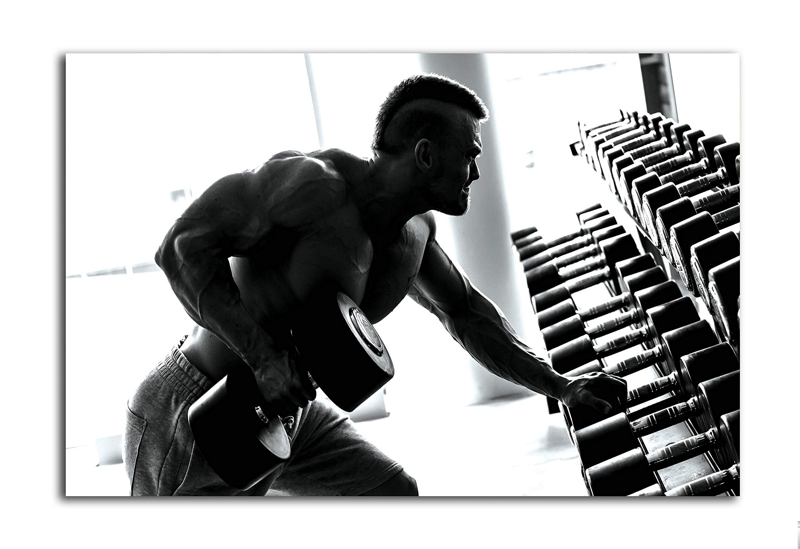 Buy Tamatina Gym Posters - Gym Posters Motivational - Gym Posters for ...