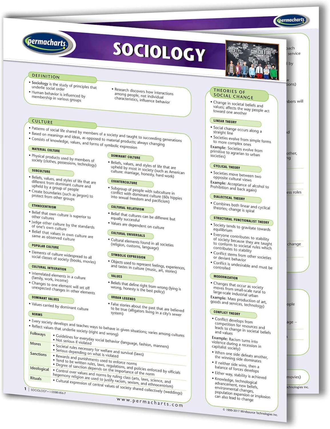Amazon.com: Sociology Guide - Quick Reference Guide by Permacharts ...