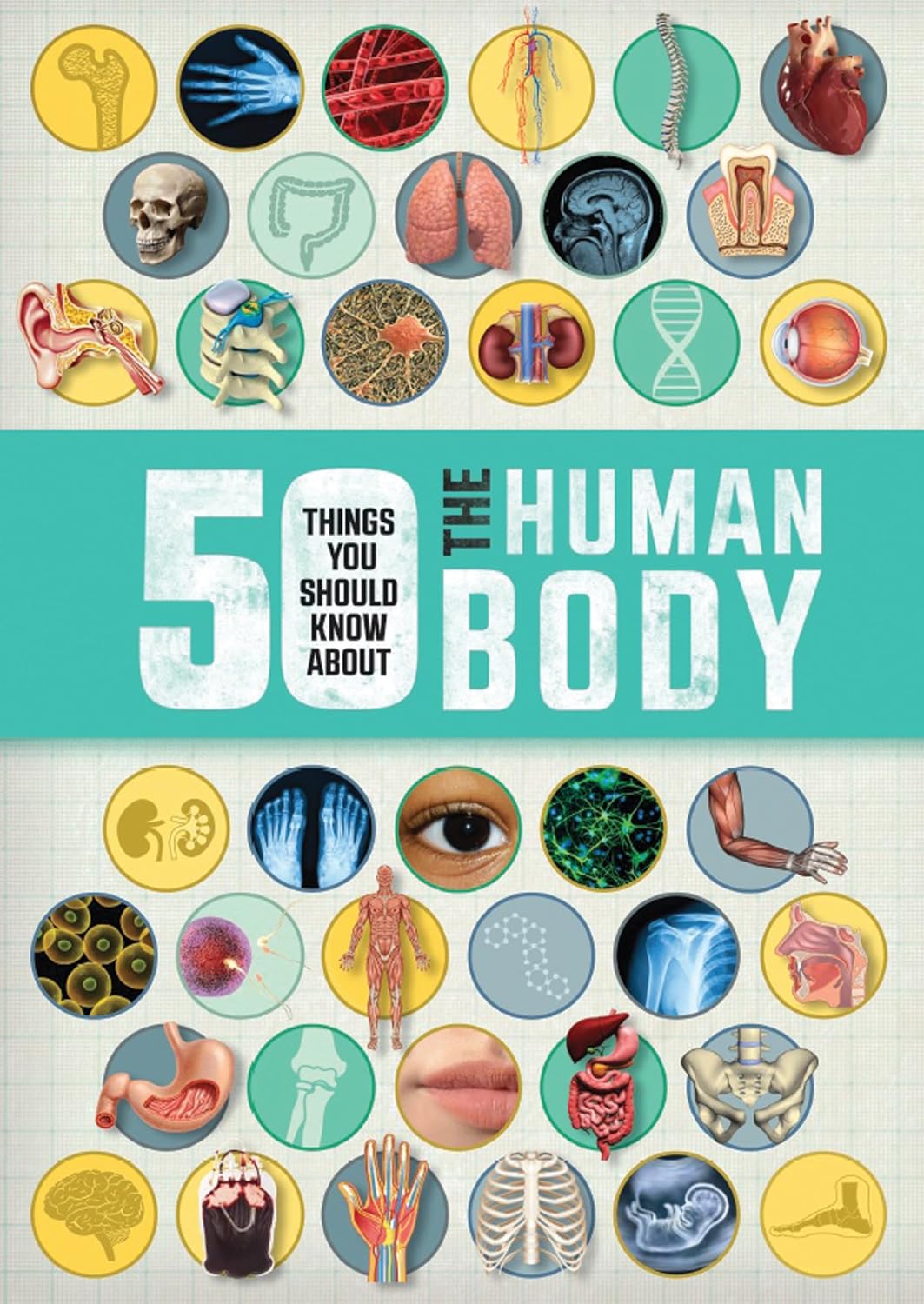 50 Things You Should Know About the Human Body : Royston, Angela ...