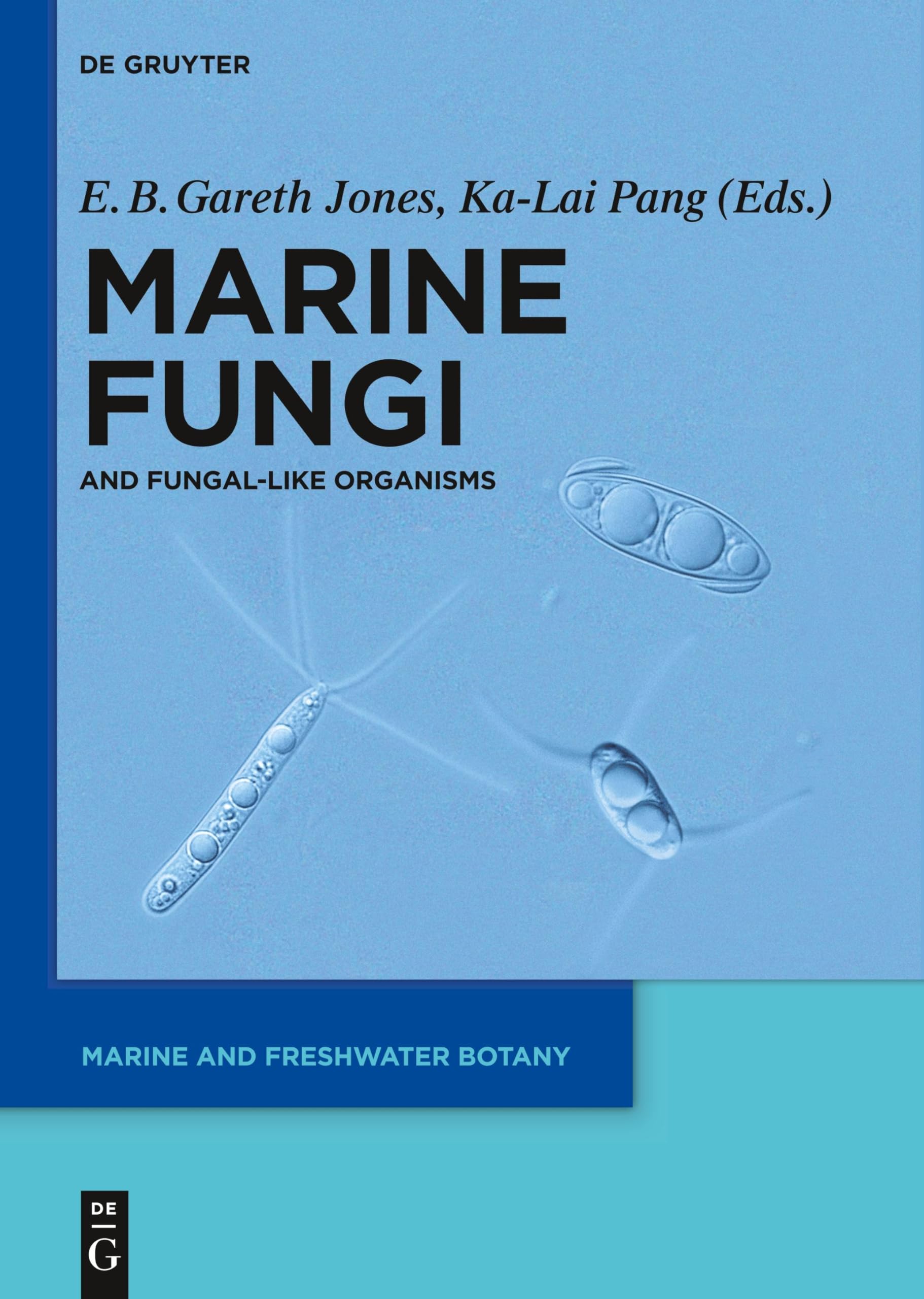 Marine Fungi: and Fungal-like Organisms (Marine and Freshwater Botany ...