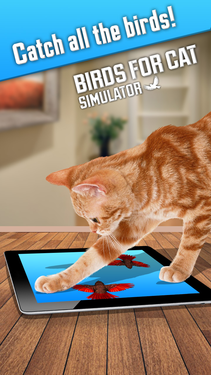 Birds for Cat Simulator:Amazon.de:Appstore for Android
