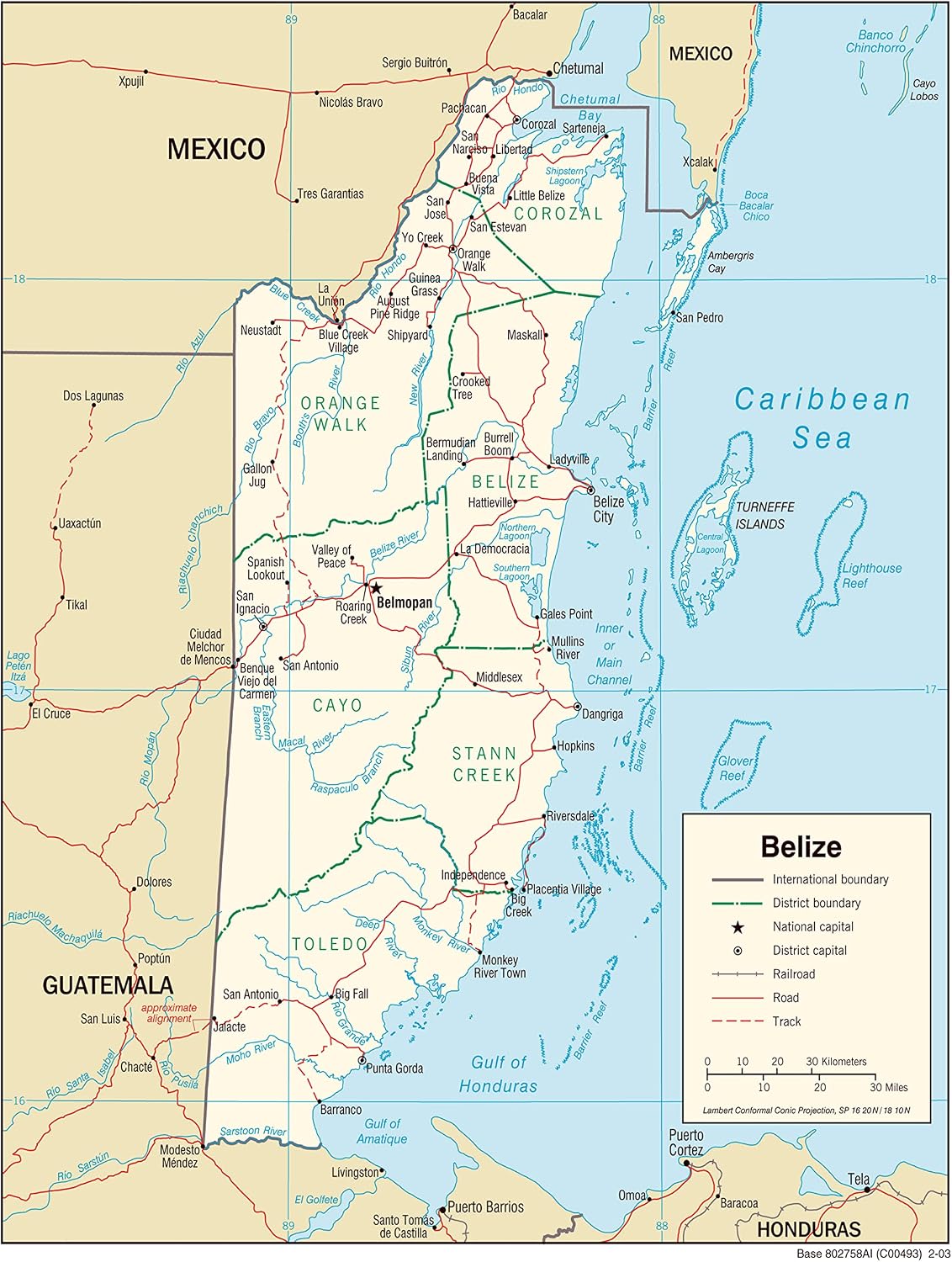 Amazon.com: Palmetto Posters 24x31 Laminated Poster: Large political ...