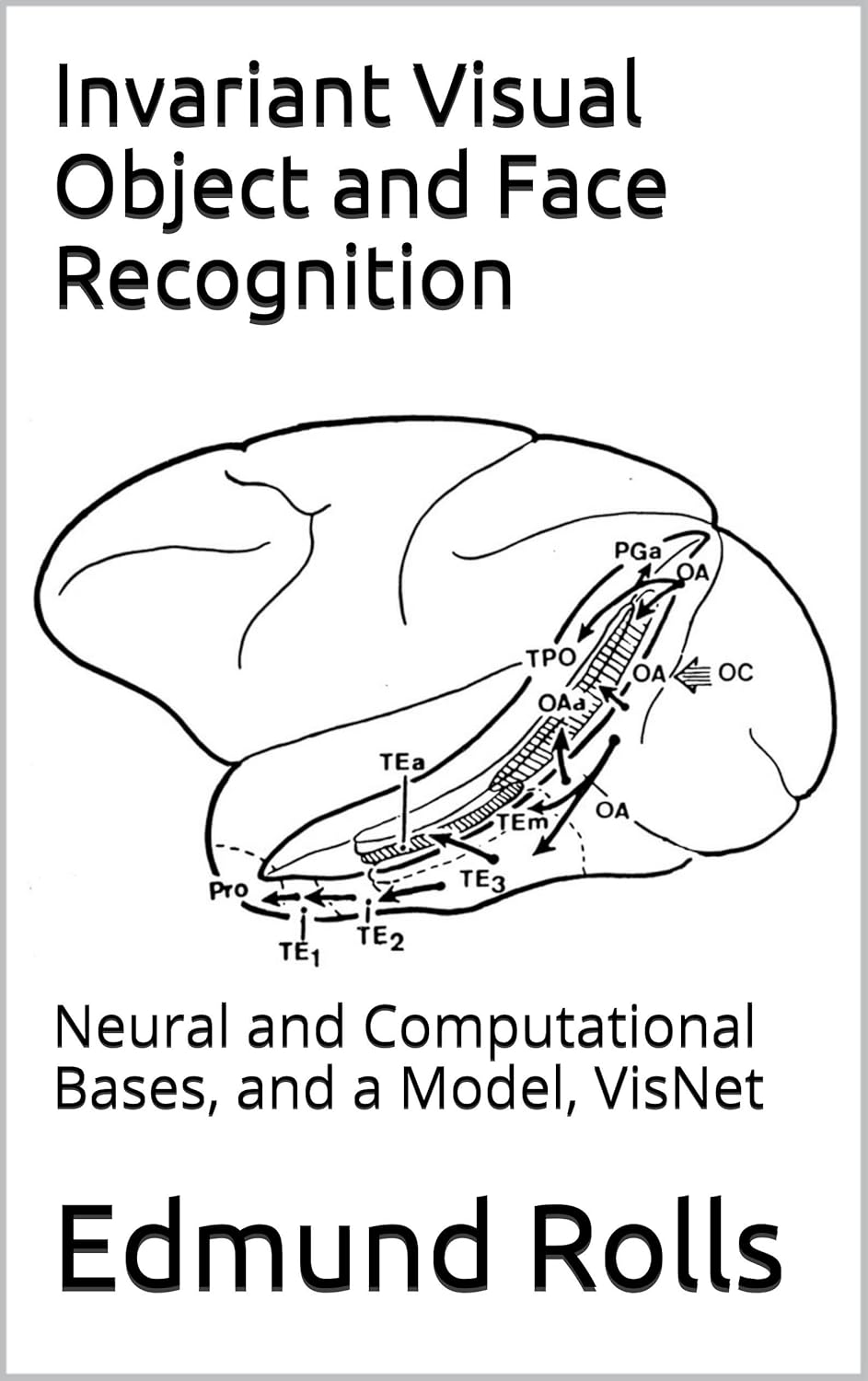 Invariant Visual Object And Face Recognition Neural And Computational Bases And A 1142