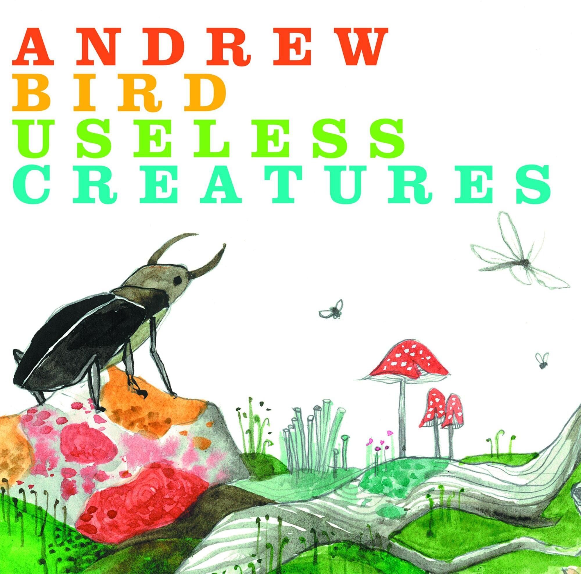 Andrew Bird - Useless Creatures - Amazon.com Music