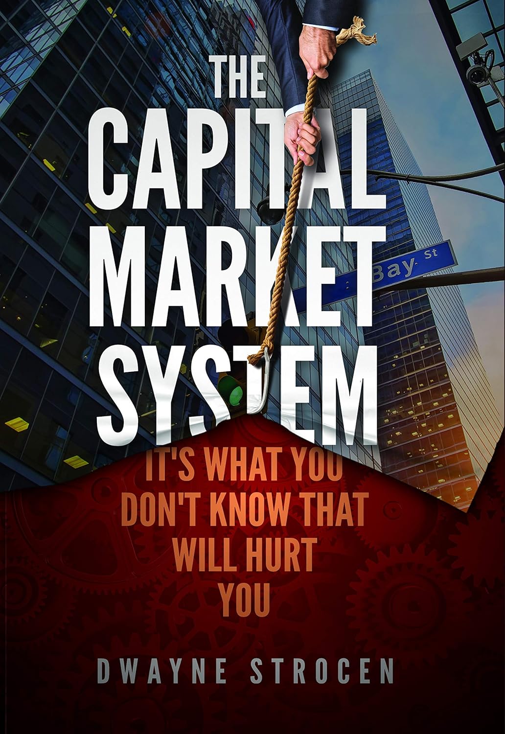 Amazon.com: THE CAPITAL MARKET SYSTEM: It's what you don't know that ...