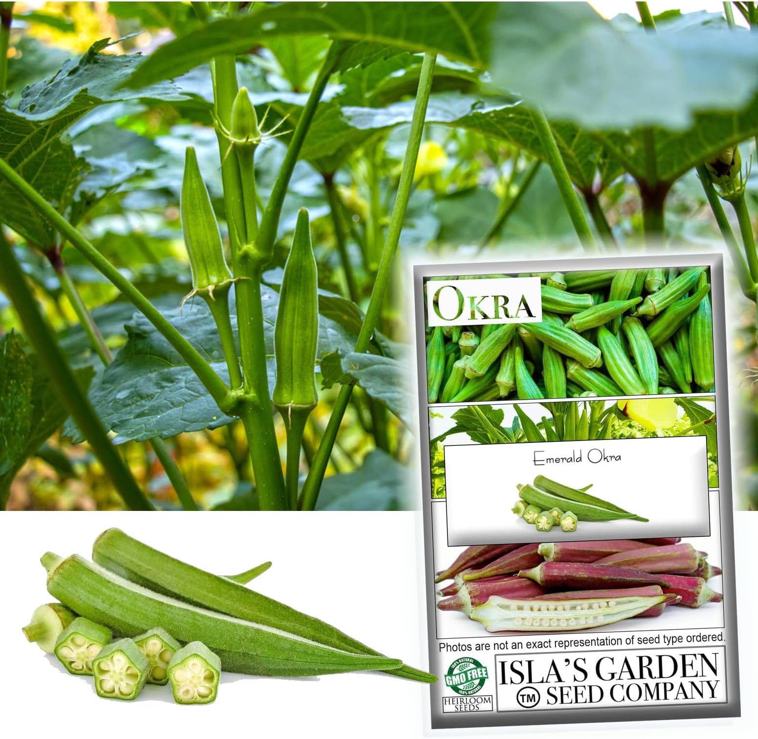 Amazon.com : QAUZUY GARDEN 100 Jambalaya Okra Seeds, Heirloom & Non-GMO ...