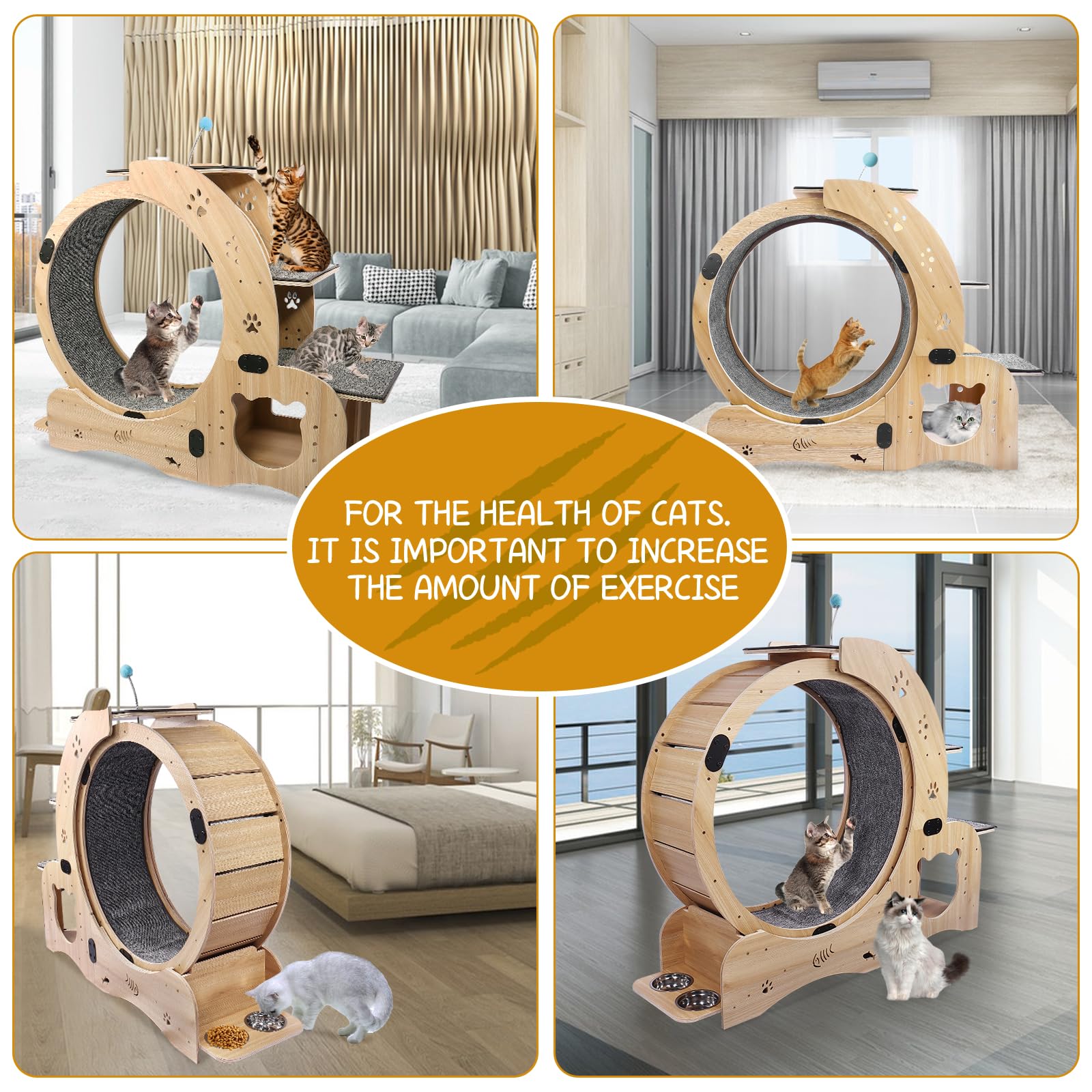 Snapklik.com : Cat Sports Running Wheel, 4-in-1 Cat Exercise Wheel ...