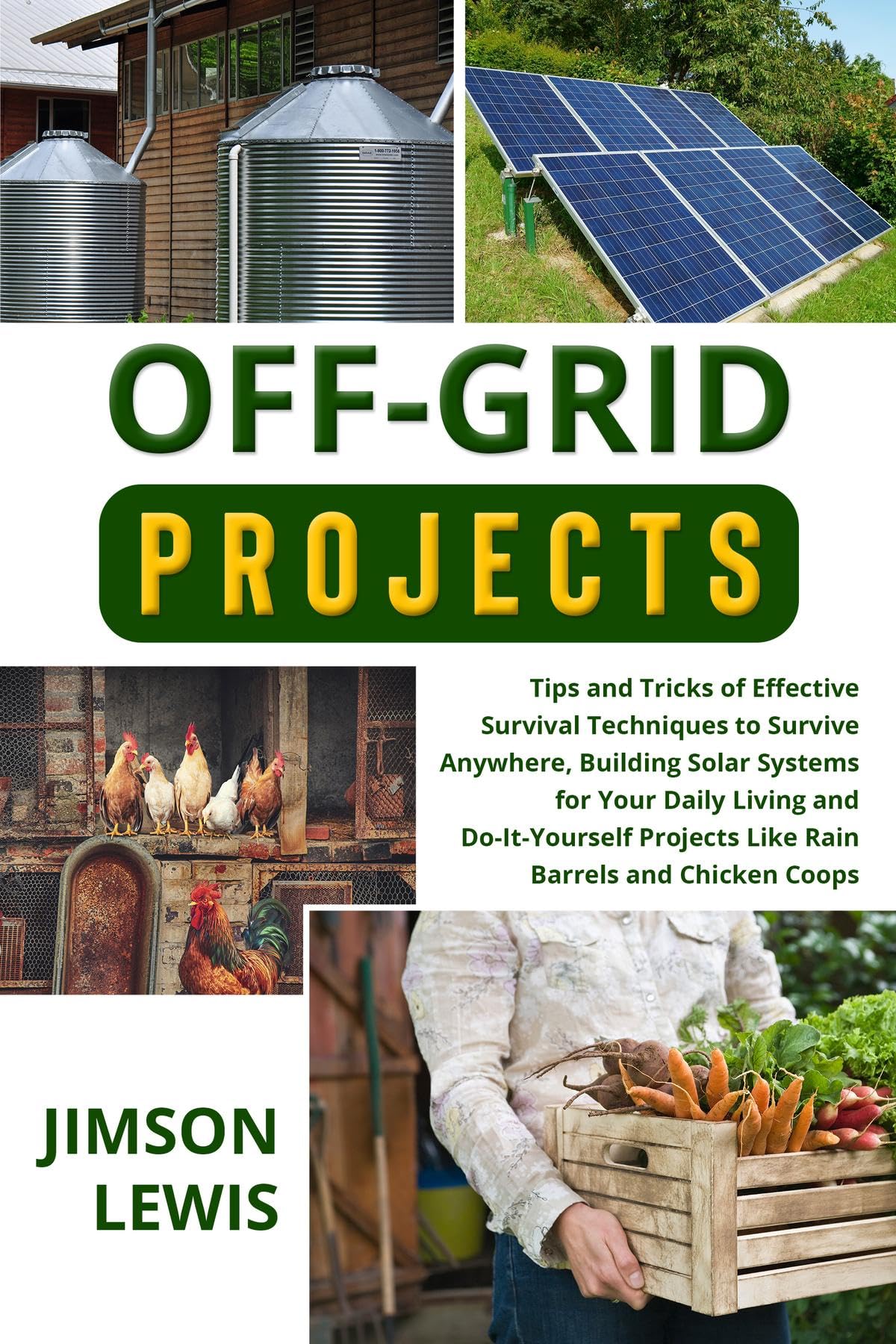 Buy OFF-GRID PROJECTS: Tips and Tricks of Effective Survival Techniques ...