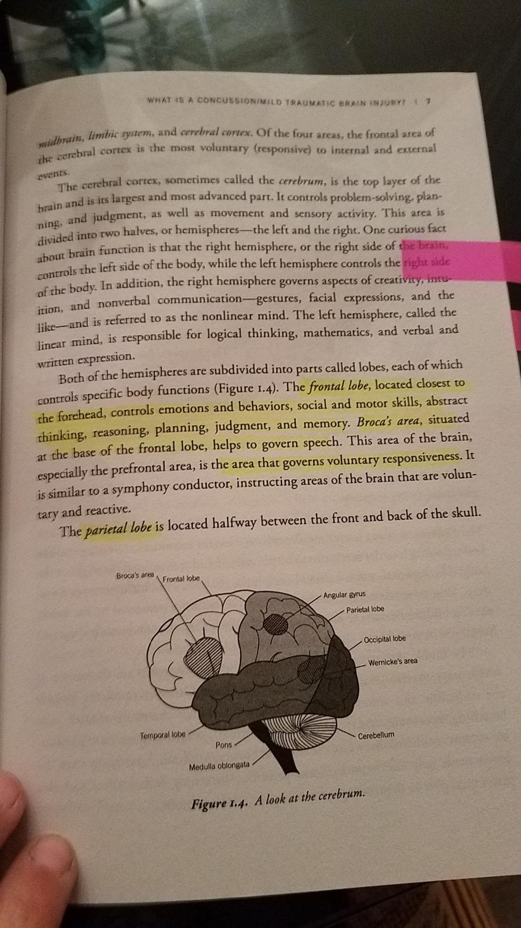 Coping with Concussion and Mild Traumatic Brain Injury: A Guide to ...