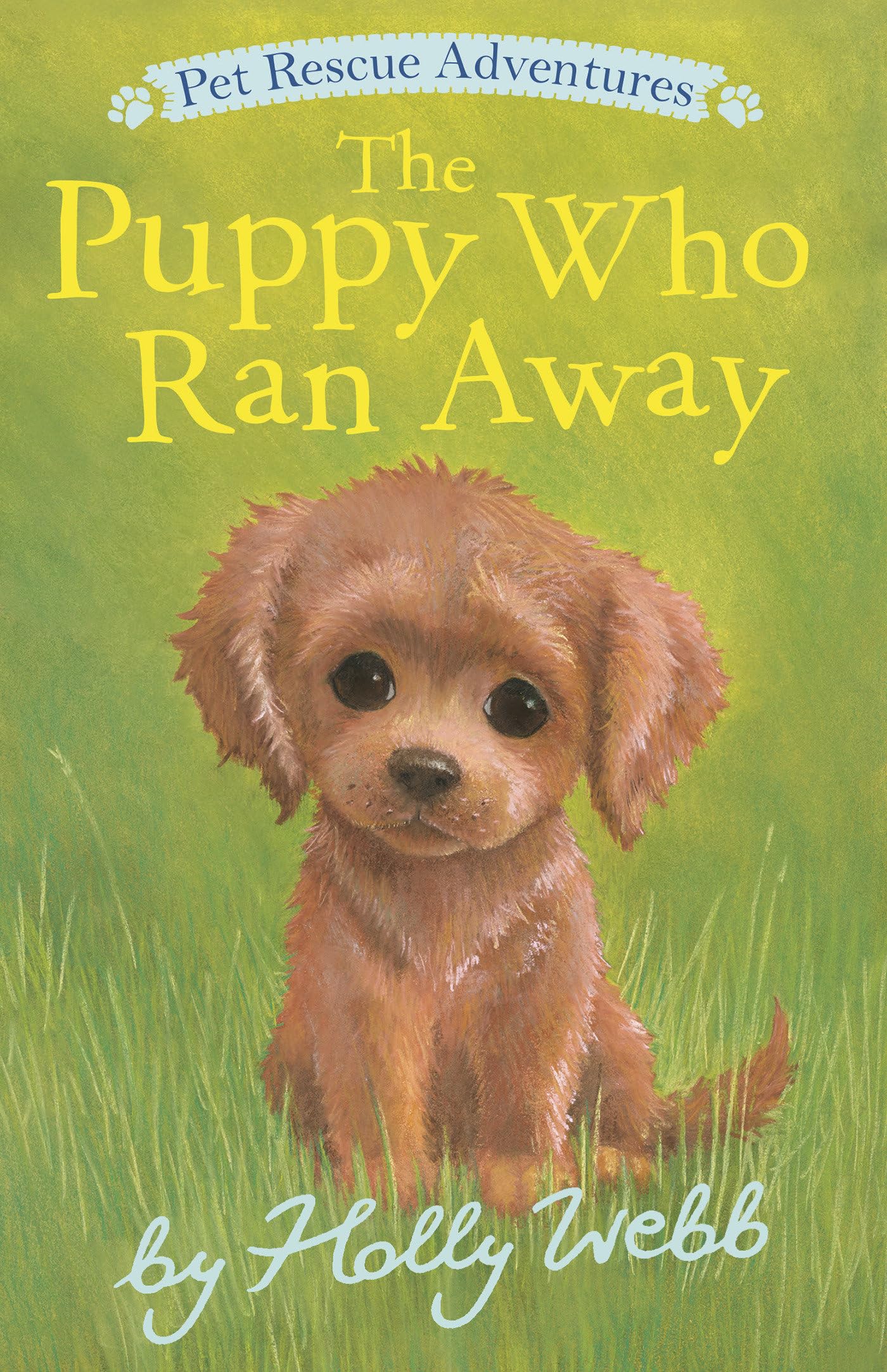 Amazon.com: The Puppy Who Ran Away (Pet Rescue Adventures ...