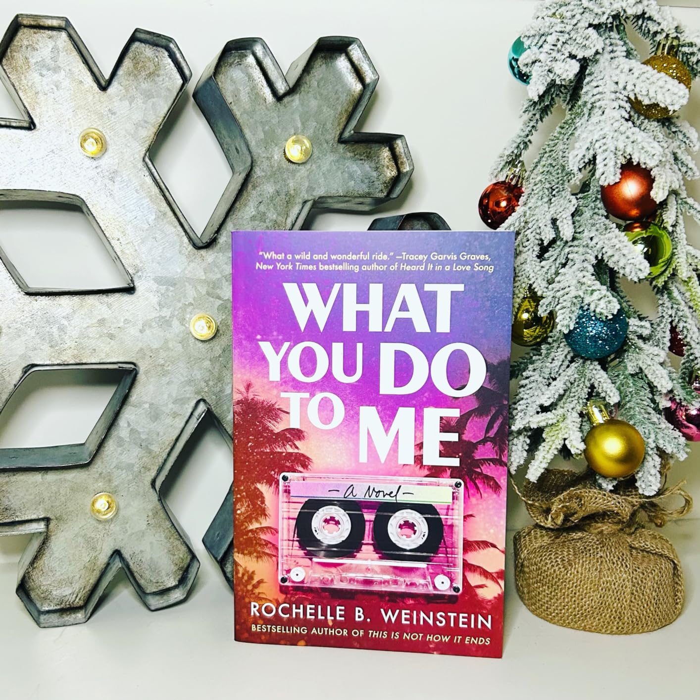 What You Do To Me: A Novel: Weinstein, Rochelle B.: 9781662508271 ...