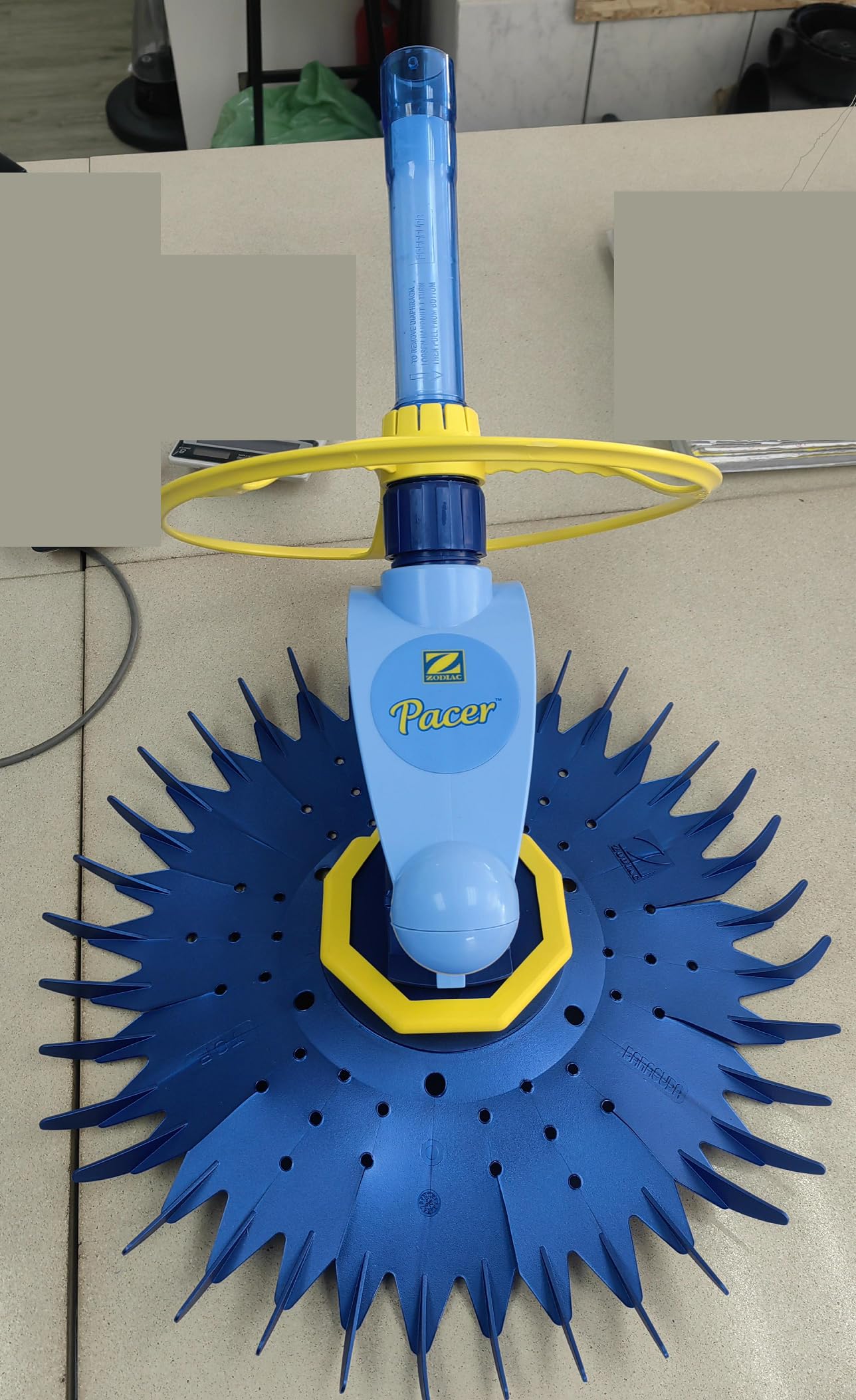 Zodiac pacer pool cleaner - Horoscopeaz.com