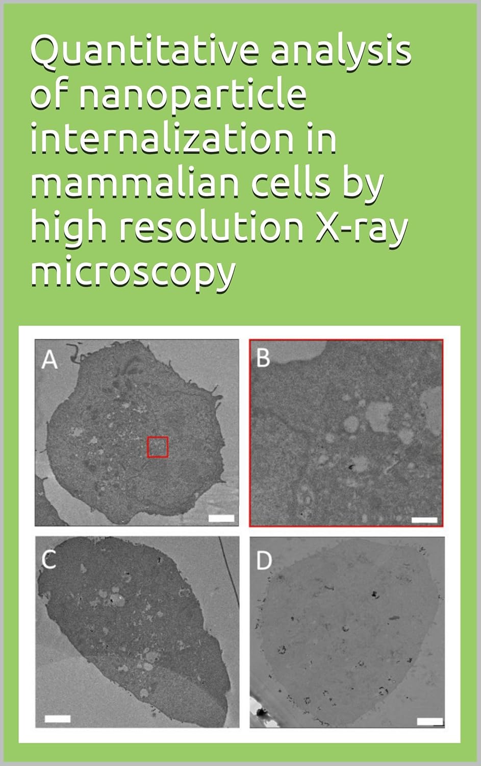 Quantitative analysis of nanoparticle internalization in mammalian ...