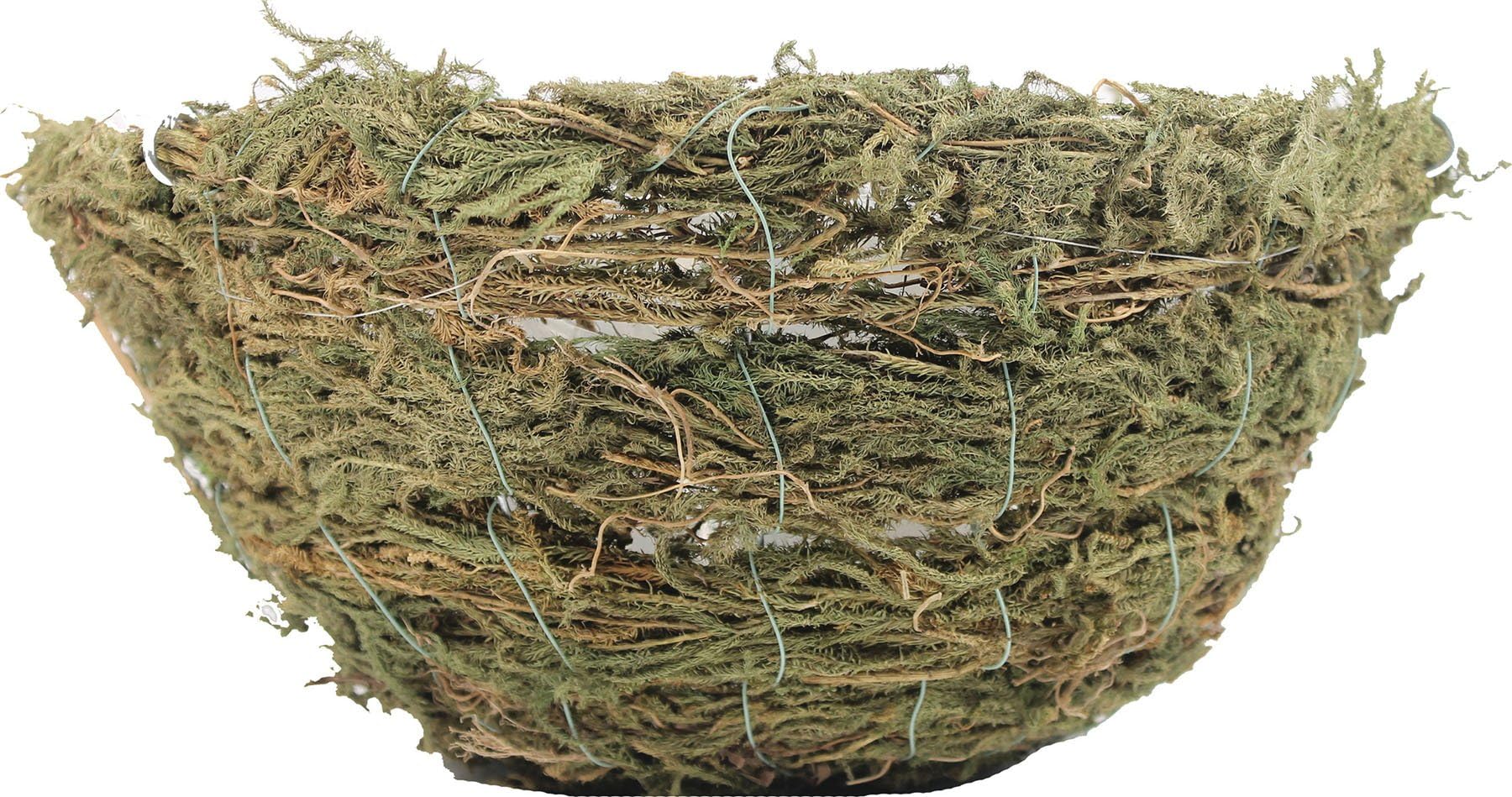 Amazon.com: Topiary Art Works 12" (Inside Diameter) Sphagnum Moss ...