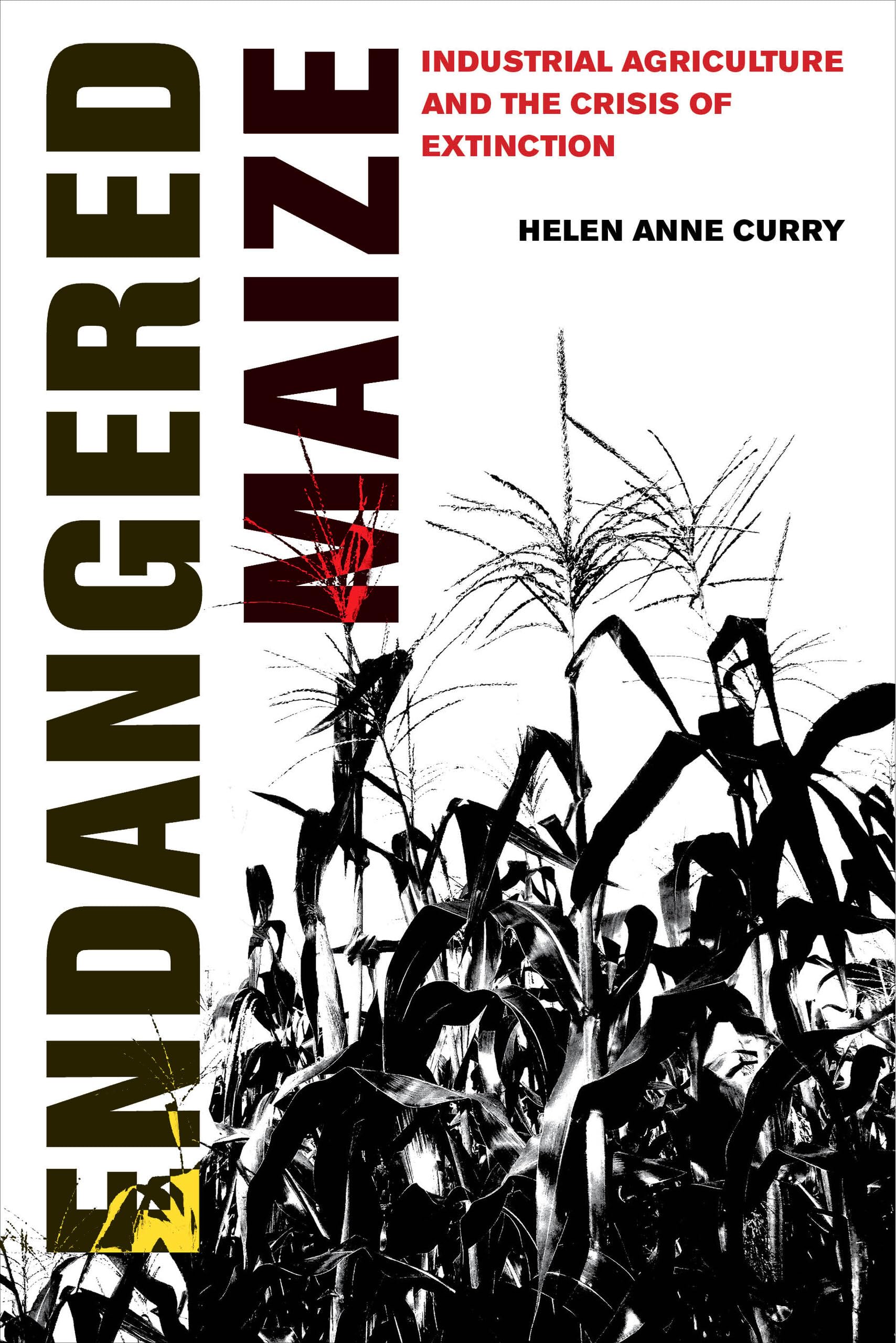 Amazon.com: Endangered Maize: Industrial Agriculture and the Crisis of ...
