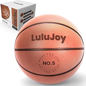 Amazon.com : LuluJoy Silent Basketball - Noiseless Indoor Basketball ...