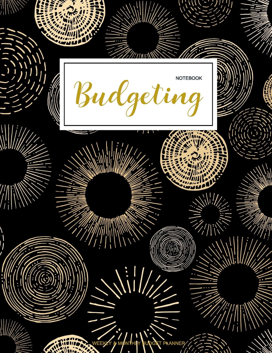 Budgeting Notebook: Finance Monthly & Weekly Budget Planner Expense ...