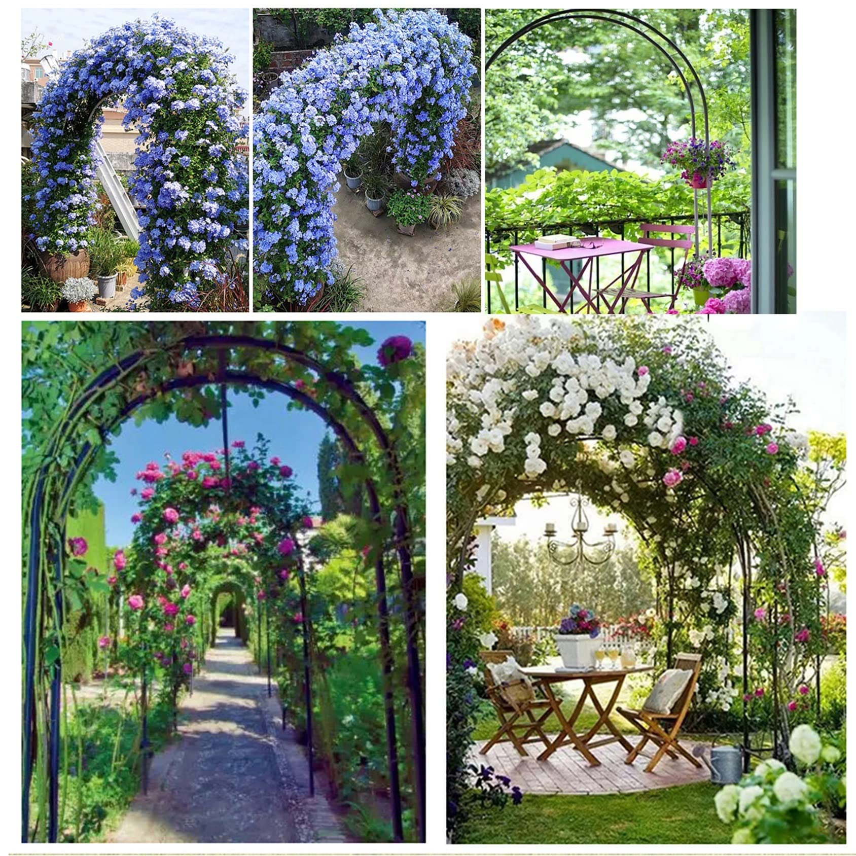 Beautiful Garden Rose Arches