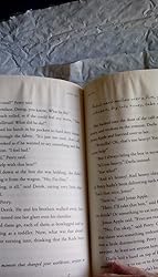 Amazon.com: Bone Gap: 9780062317629: Ruby, Laura: Books