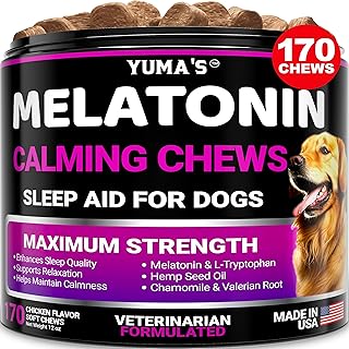 Melatonin Overdose In Dogs: What Pet Owners Need To Know | PetShun
