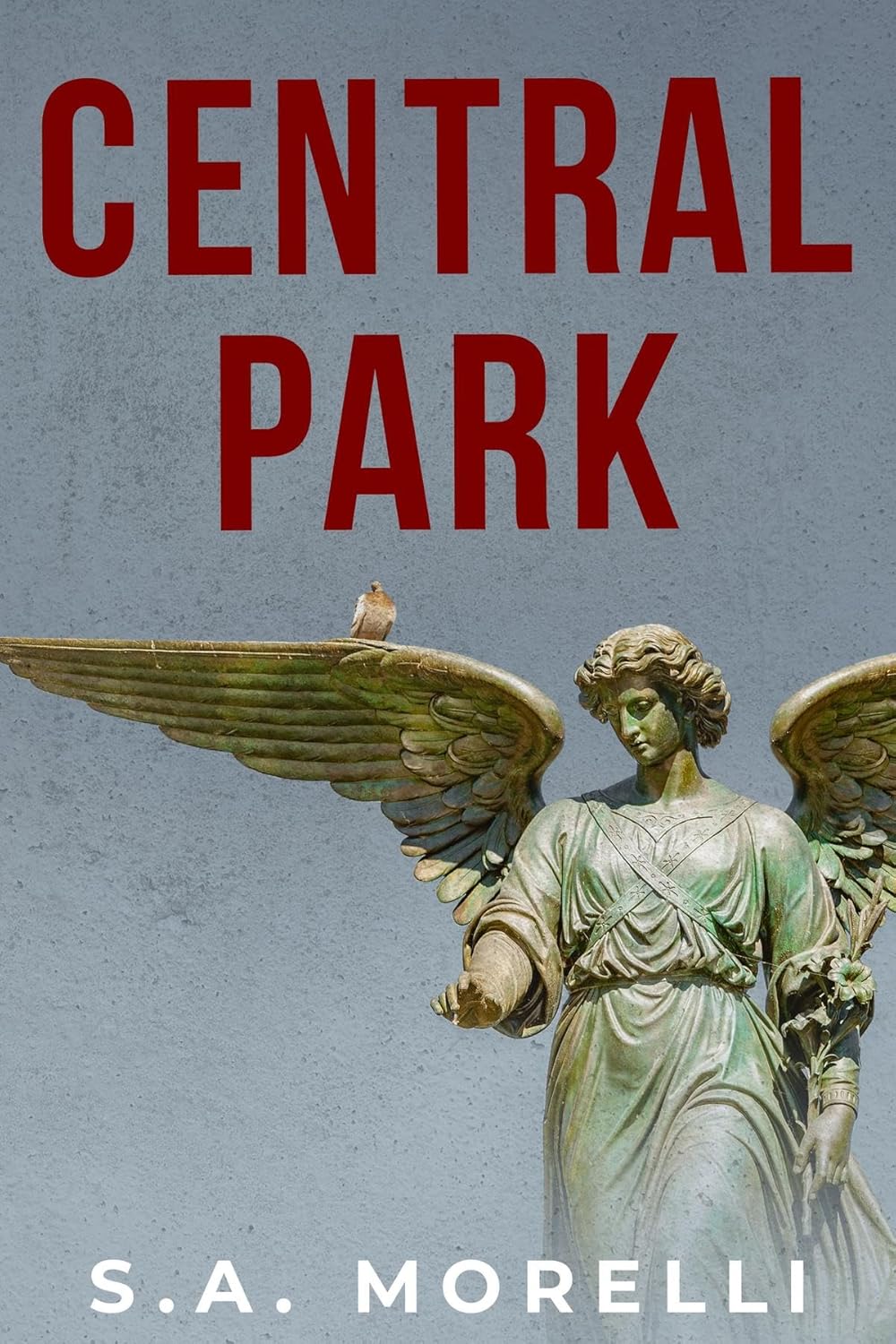 Central Park - Kindle edition by Morelli, S.A.. Romance Kindle eBooks ...